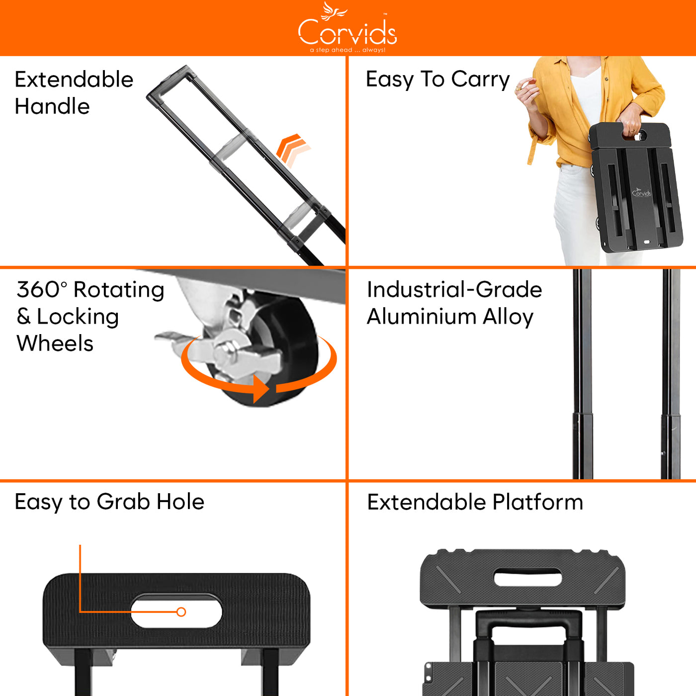 Buy 150 Kg Plastic Extendable Hand Platform Trolley Online